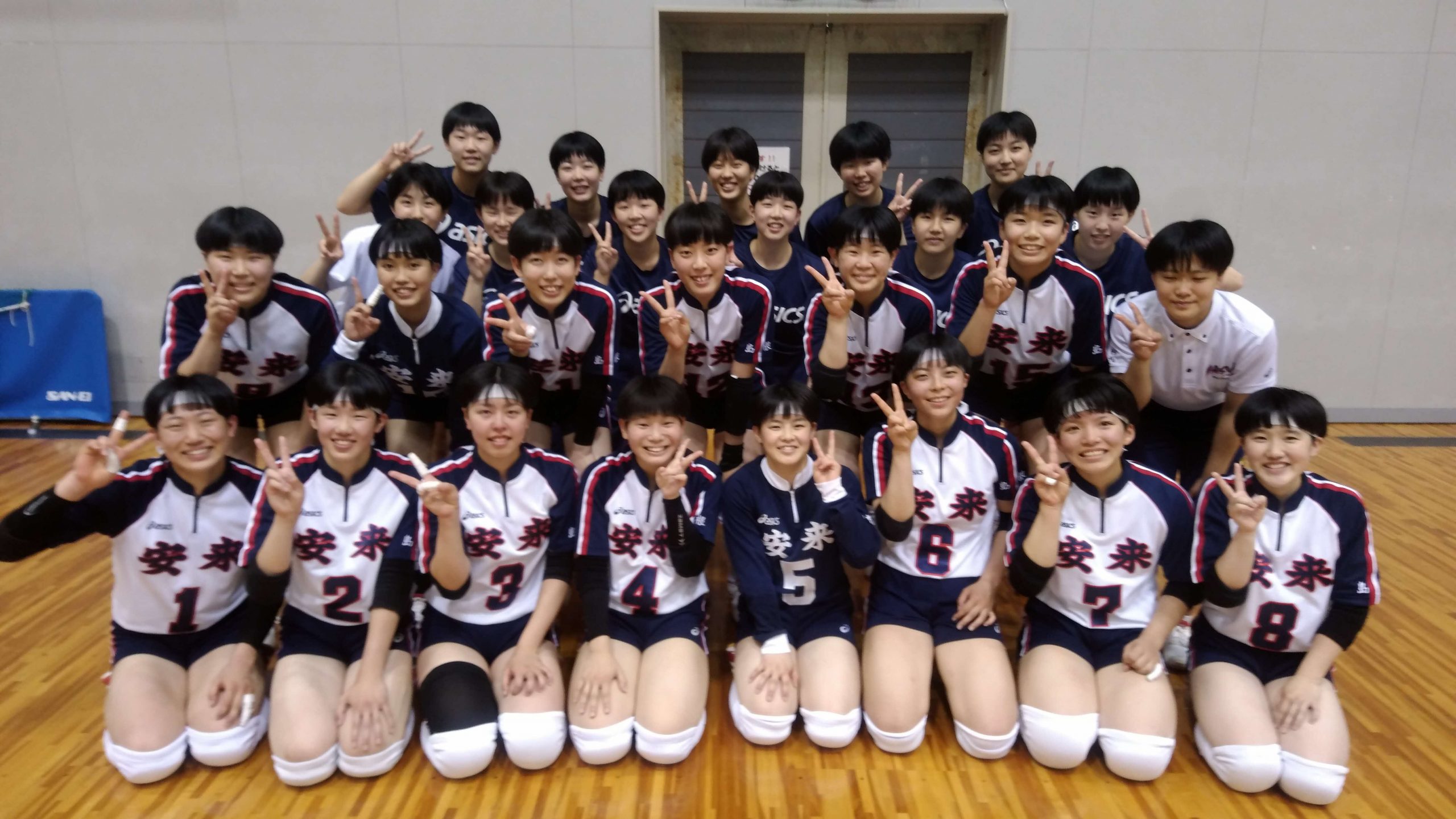 インターハイ女子バレーボール _ インターハイ バレー 女子 決勝 トーナメント – MSDW
