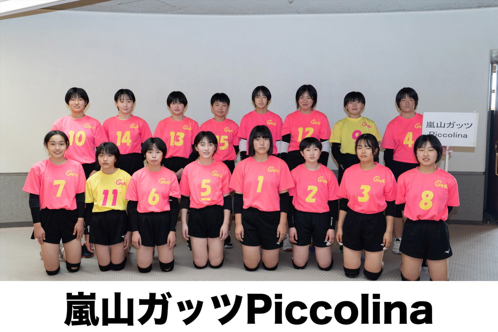 嵐山ガッツPiccolina | 月バレ.com【月刊バレーボール】
